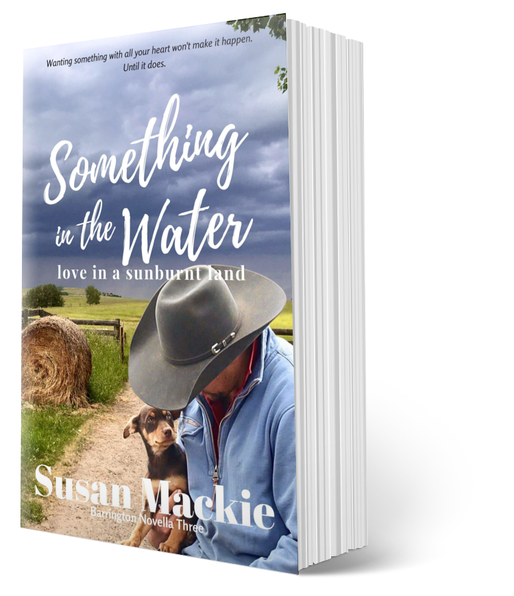 paperback: Something in the Water - women's fiction – Susan Mackie Author