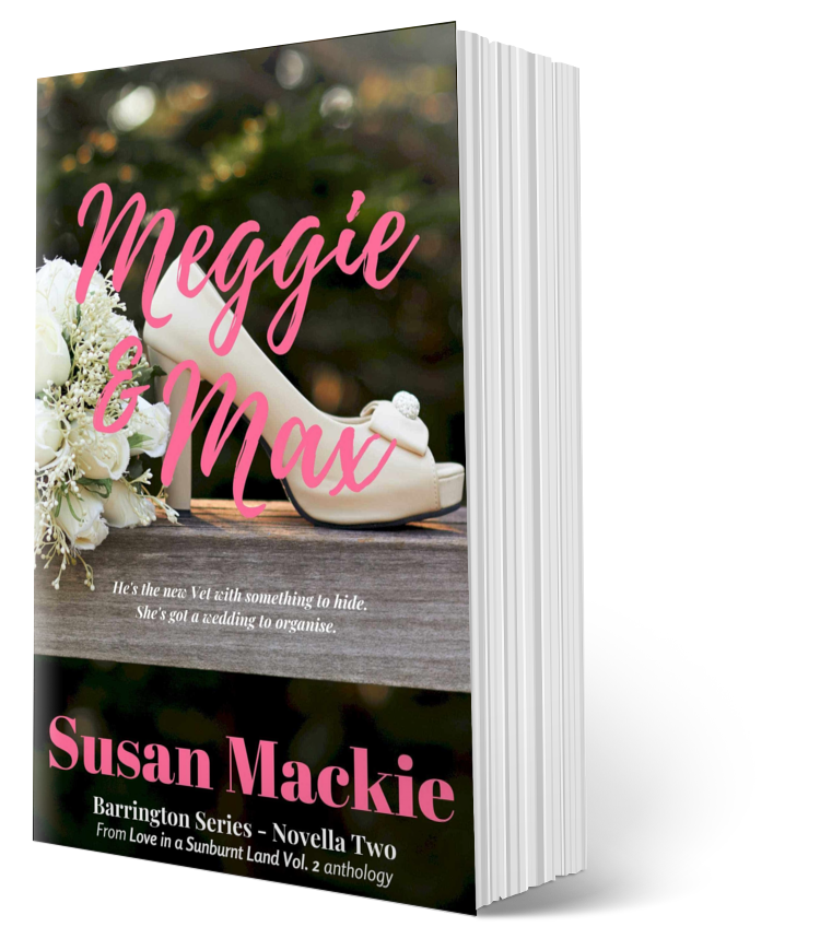 paperback: Meggie & Max - Barrington Series - small town romance ...